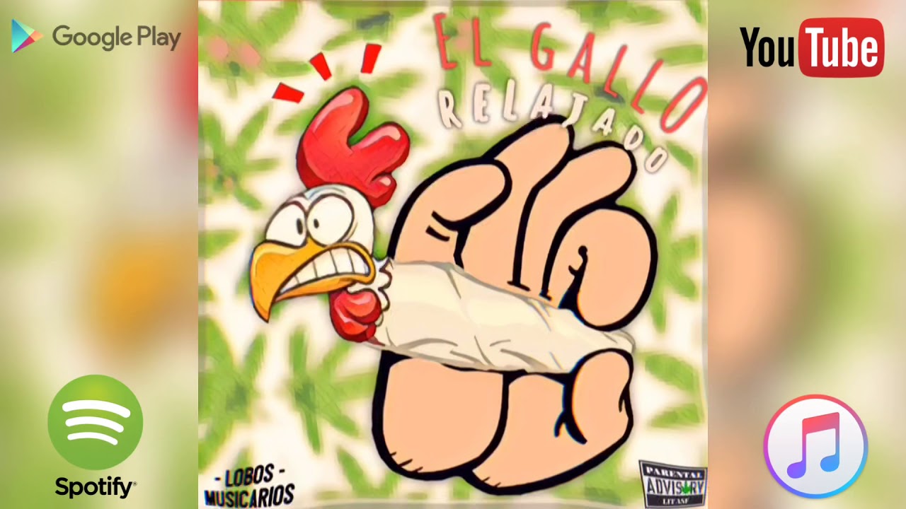 El Mango Relajado Parodia El Gallo Relajado Guapayasos Lobos Musicarios ...