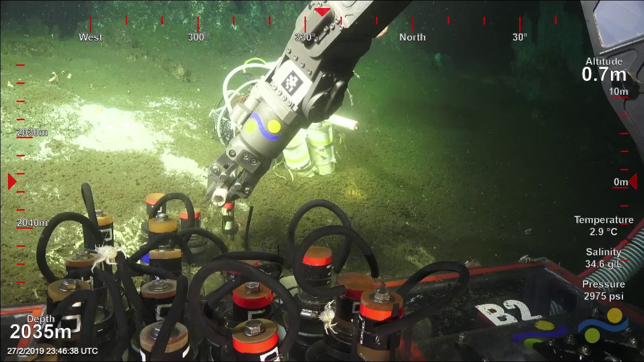 ROV SuBastian Dive 231 - Guaymas Basin: Alvin Spire - YouTube