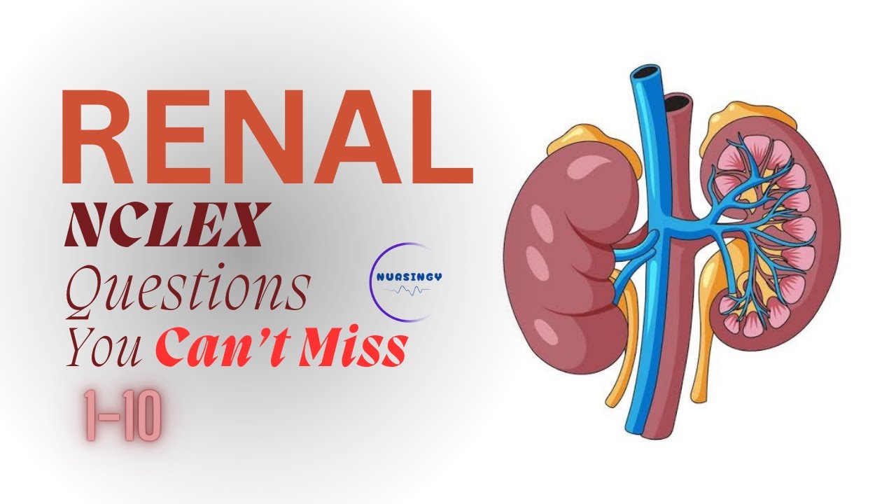 Must-Know Renal STAT NCLEX Questions – Live 1-10 - YouTube