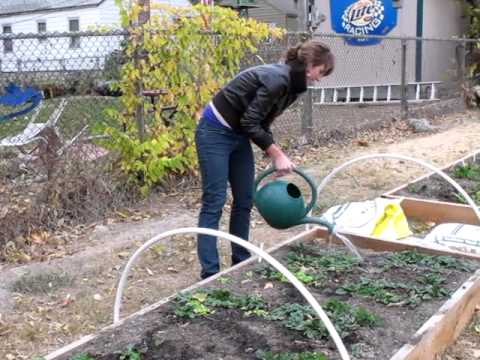 How to build a PVC Hoop House - YouTube