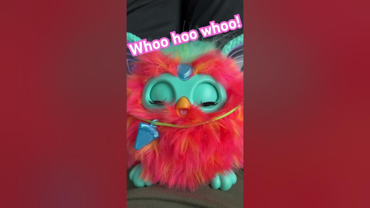 Say hi to fee bee - YouTube