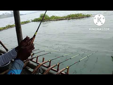 Mancing Saguling bikin greget dan penasaran - YouTube