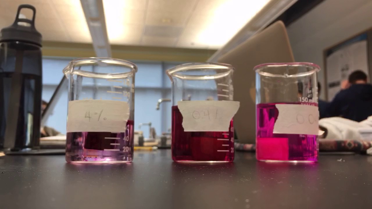 NaOH concentration variables with agar cubes (20 mm) - YouTube