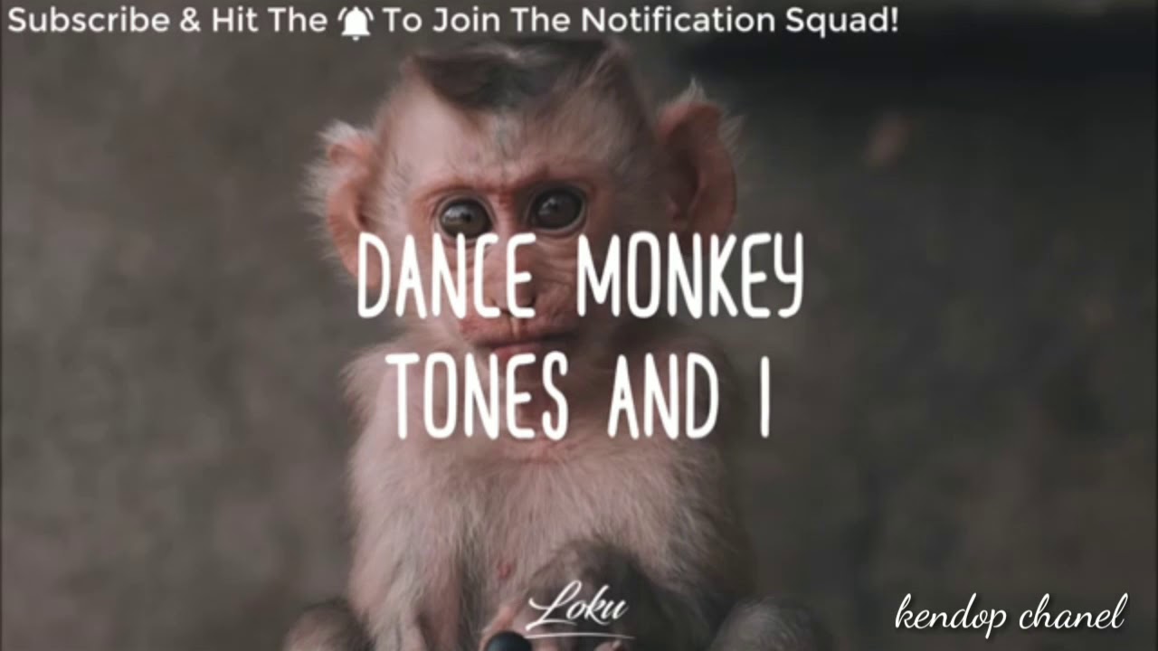 Dance Monkey Tones And I full lirik - YouTube