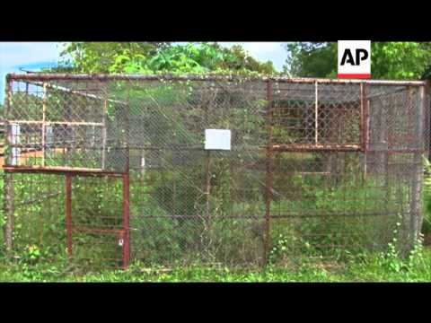 Animals in poor condition at regional zoo - YouTube