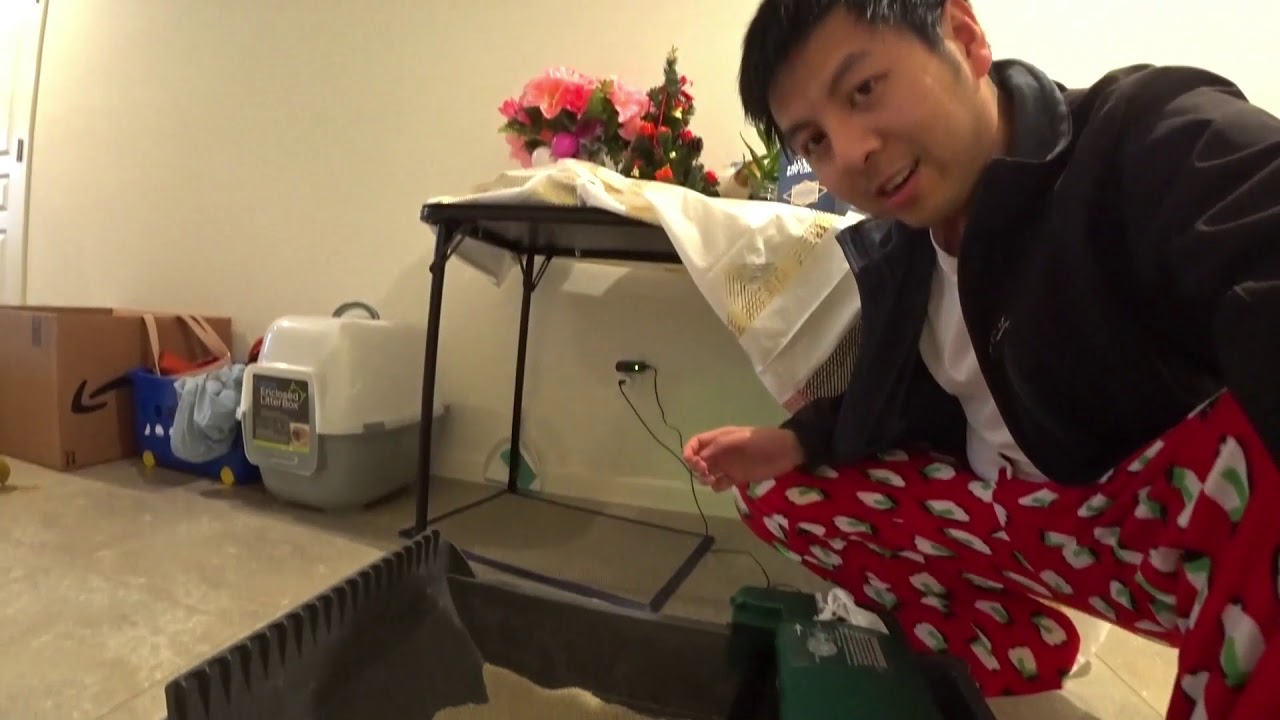 【Open Box】Pet Zone Smart Scoop Automatic Cat Litter Box - YouTube