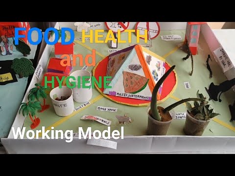 FOOD, HEALTH AND HYGIENE WORKING MODELS. - YouTube