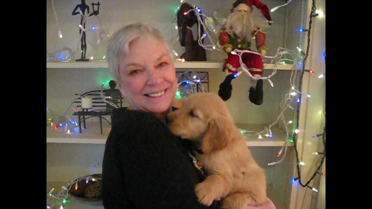 Cody Good Dog Rescue - YouTube