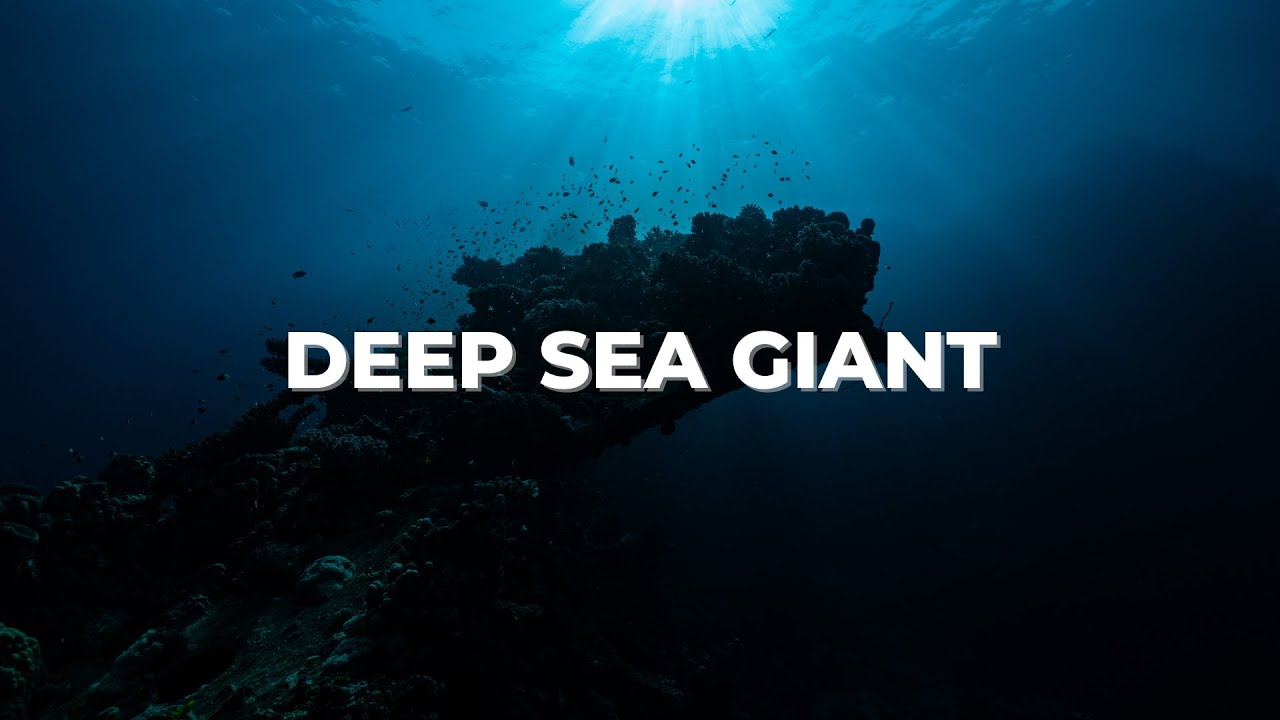 Deep Sea Giant - Real Creatures Hiding in the Abyss - YouTube