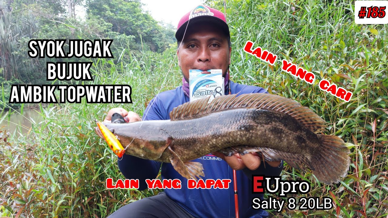 Rezeki Bujuk Ambik Top water || Bila Kena Terasa Nikmatnya - YouTube