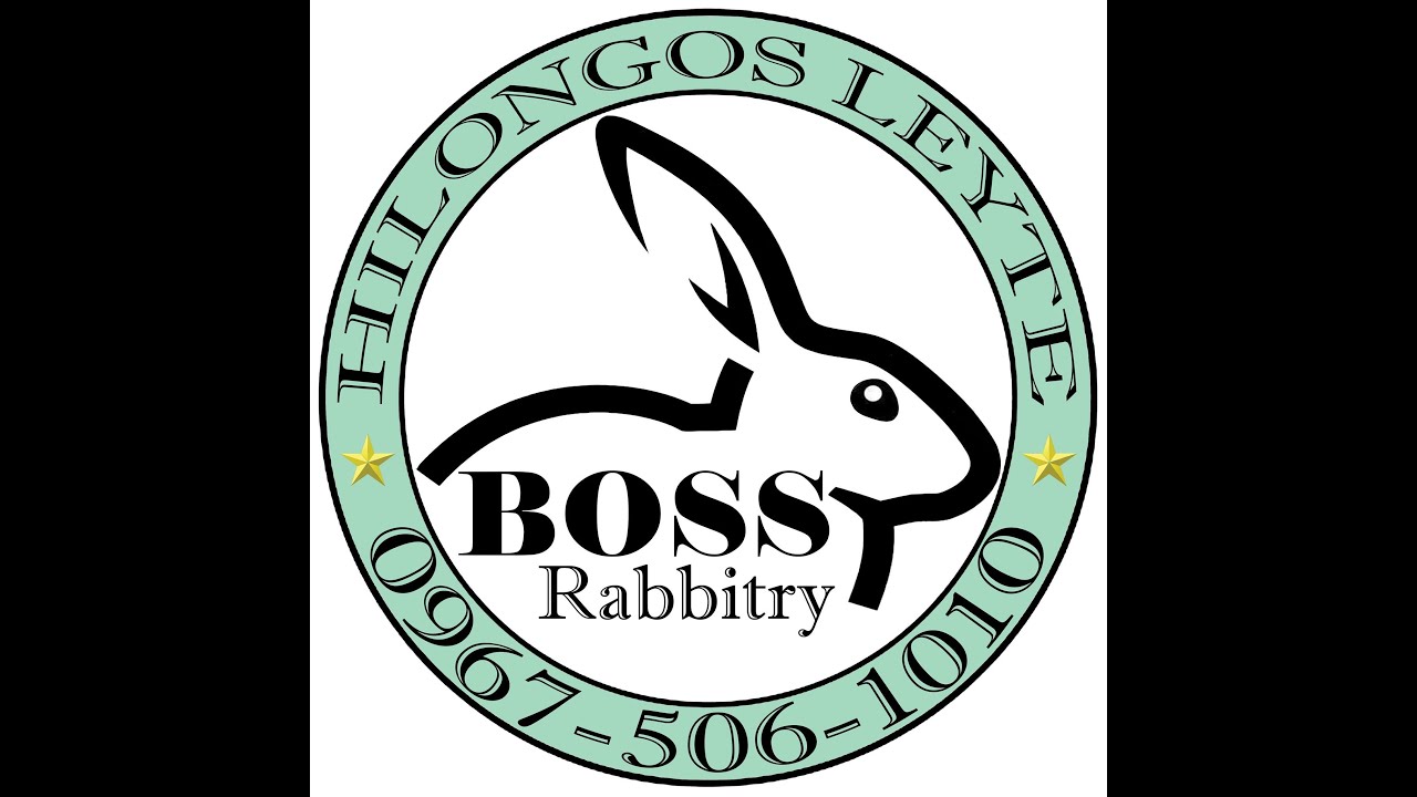 IM injection rabbit - YouTube