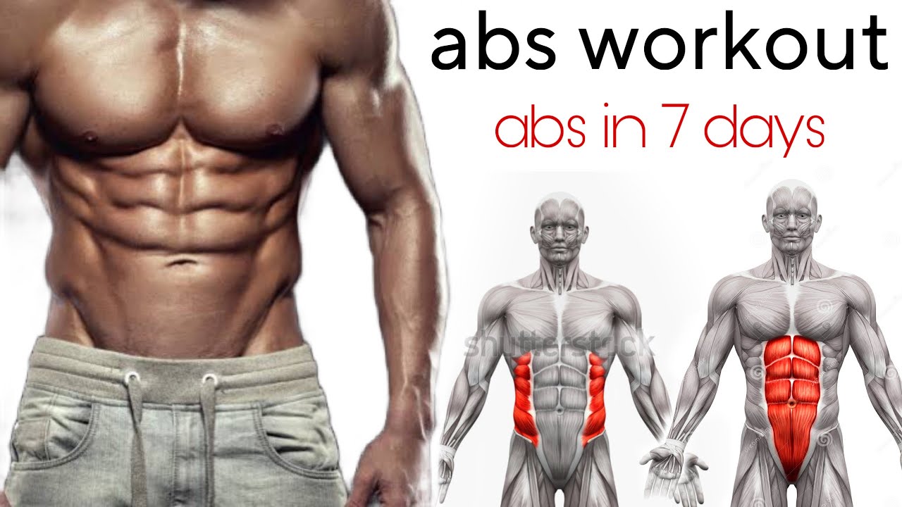 5 BEST SIX PACK ABS WORKOUT | fit factory - YouTube