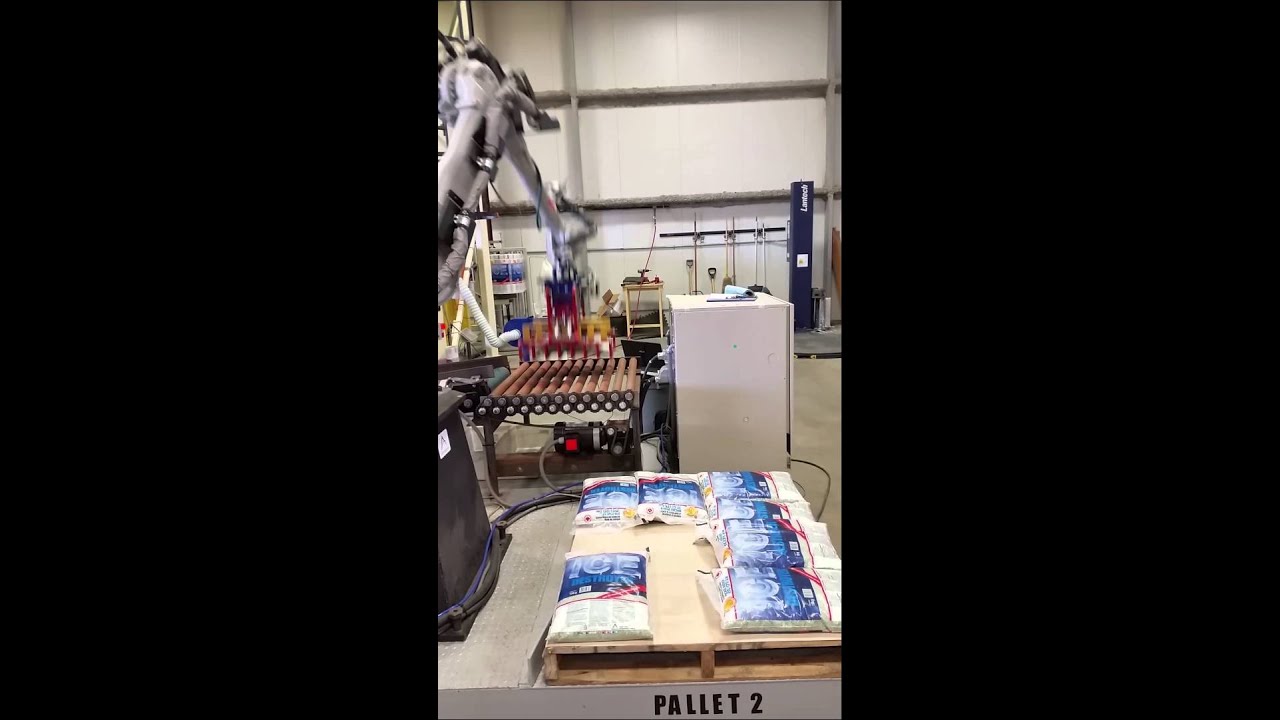 Alpine Packaging Automated bagging machine and Robot - YouTube