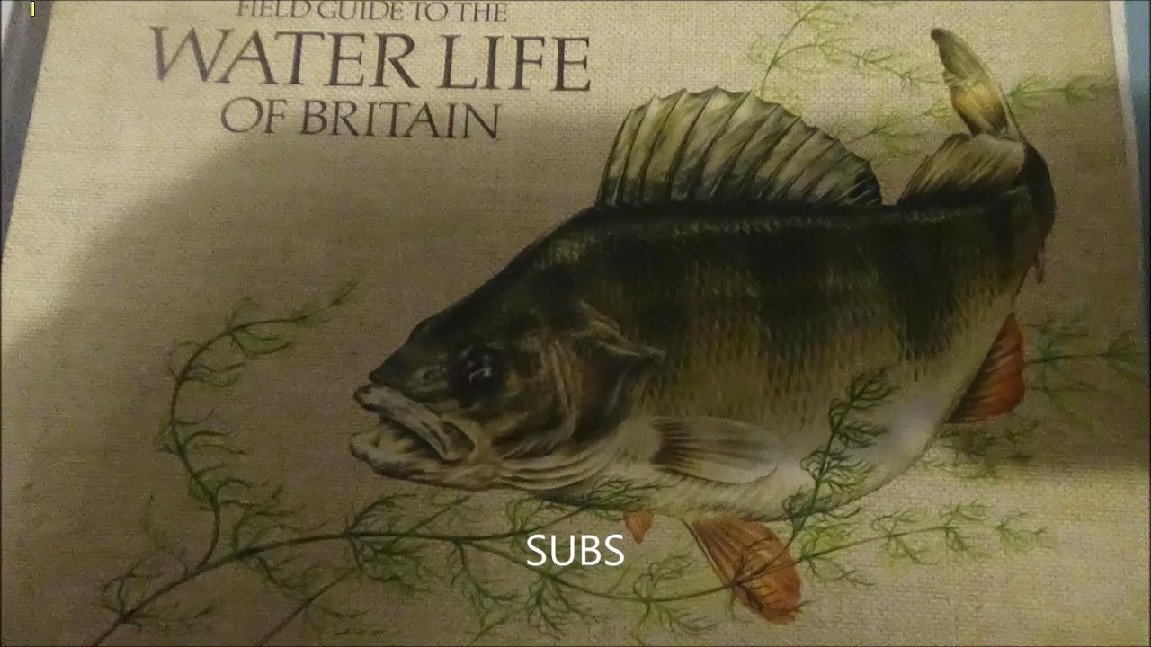 Check out my Spring Subscribe Sign 2021 - YouTube