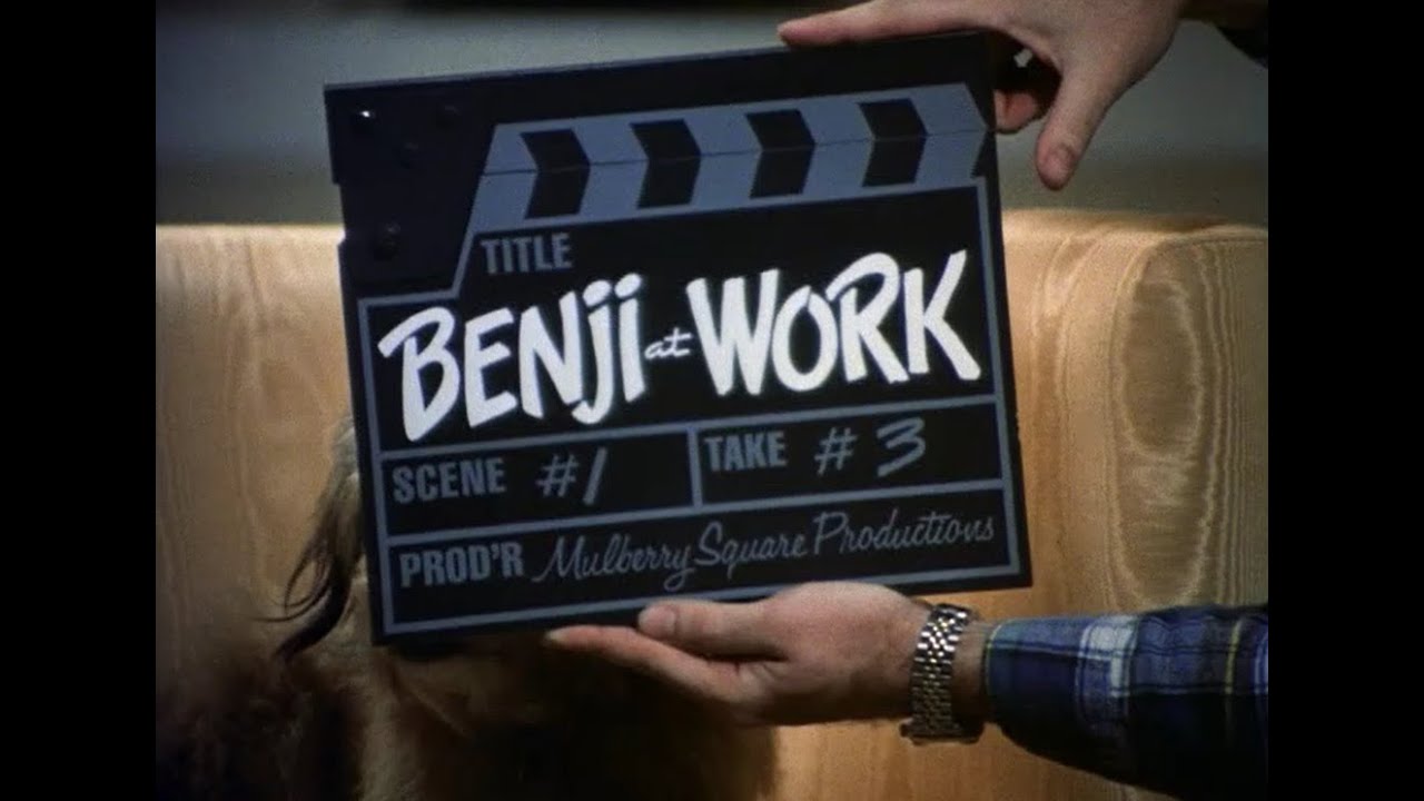 (1980) Benji At Work - YouTube