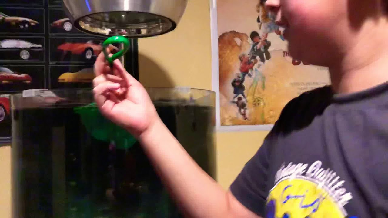 RIP snails - YouTube