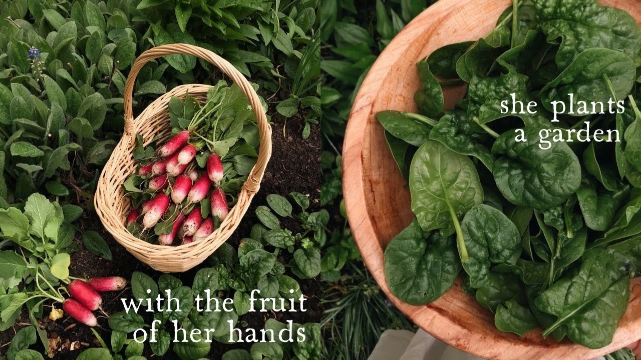 How To Plant A Spring Garden - YouTube