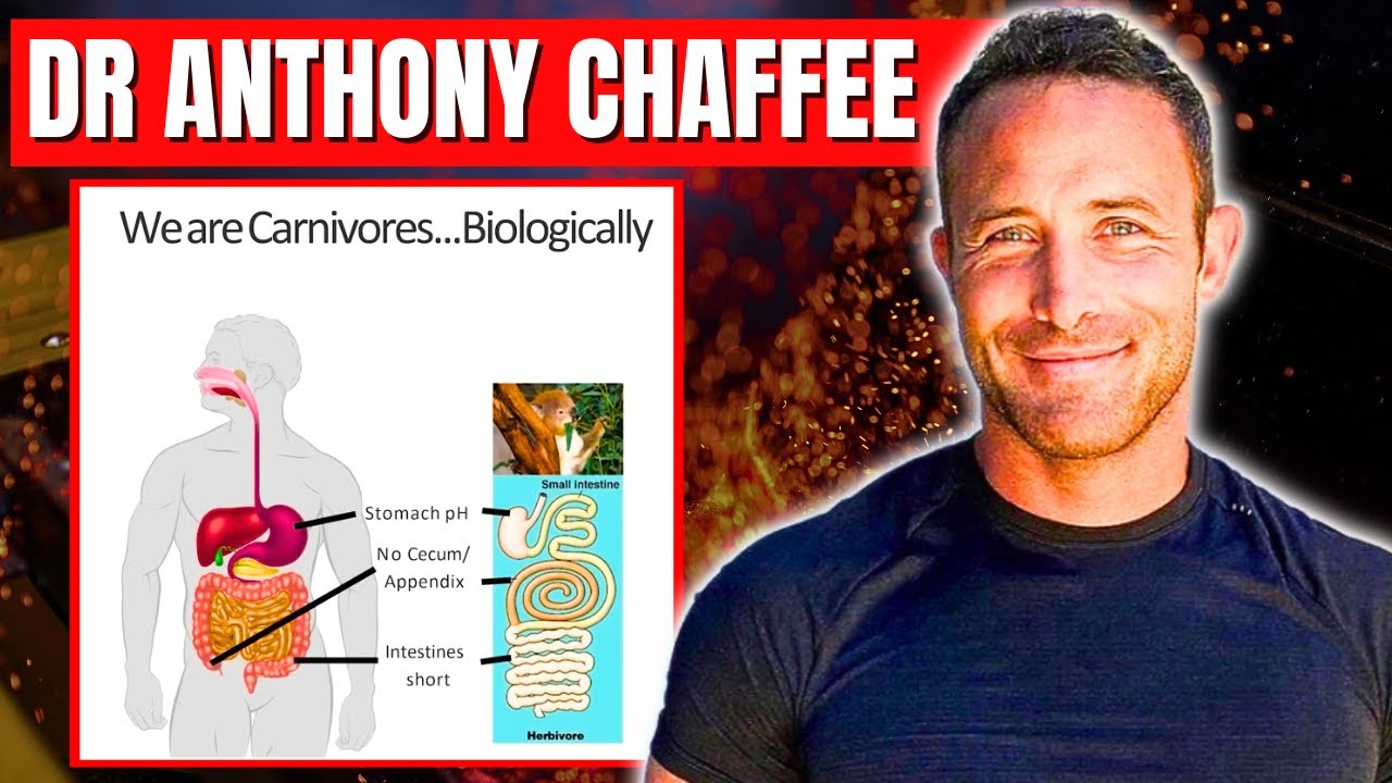 Dr. Anthony Chaffee "We are Carnivores Biologically" - YouTube