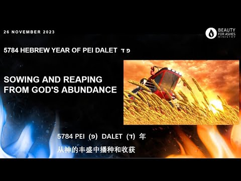 5784 HEBREW YEAR OF PEI DALET פ דּ - SOWING AND REAPING FROM GOD'S ...