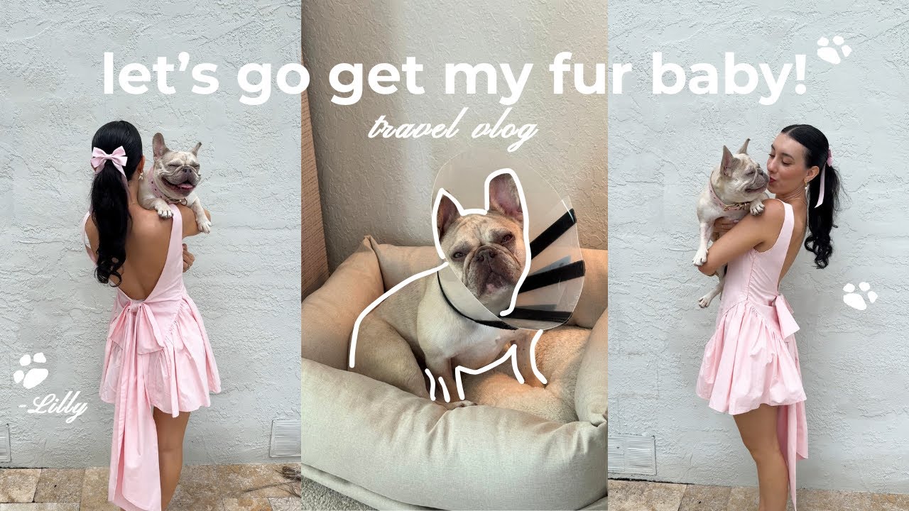 flying to pick up my new dog | everyone meet Lilly! - YouTube