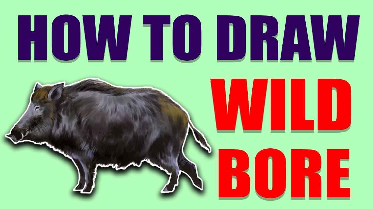 HOW TO DRAW WILD BORE || Wild boar drawing easy || Wild bore drawing ...