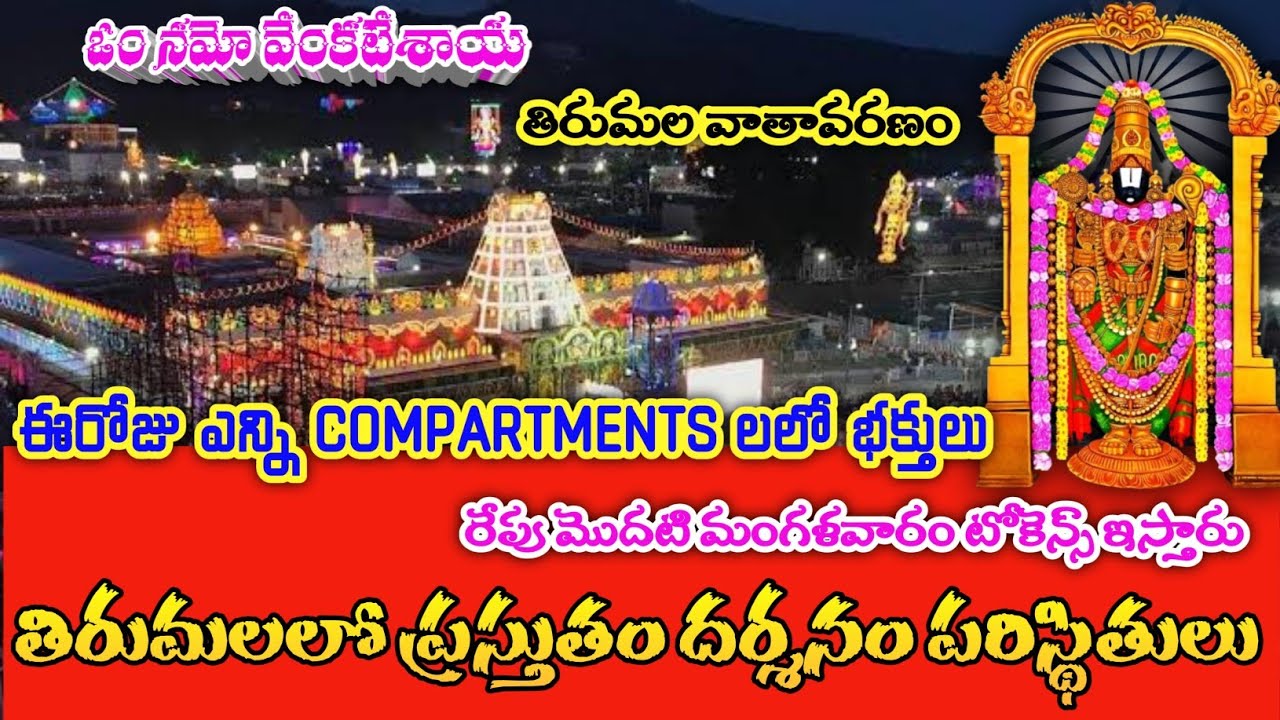 tirumala weather || tuesday tirupati darshan for locals || today ...