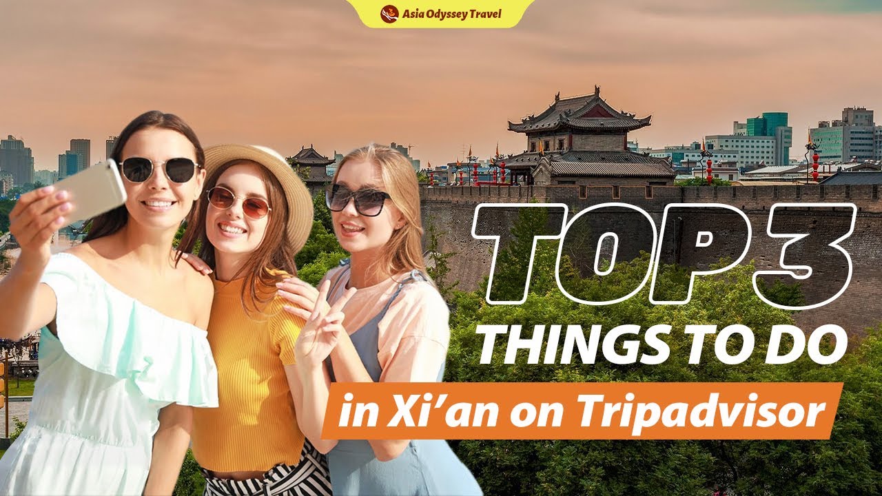 Xian Highlights Day Tour - Top 3 things to do in Xian on Tripadvisor ...