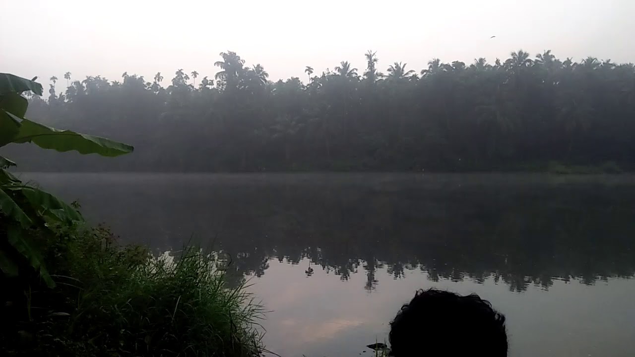Morning beauty of Thootha river - YouTube
