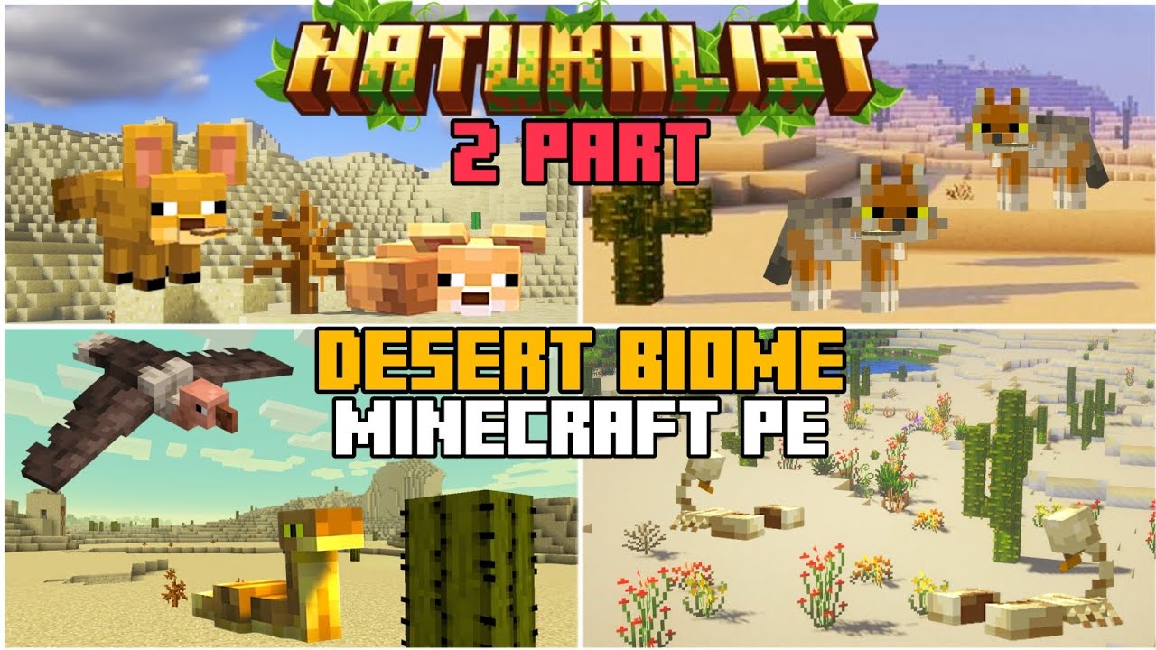 🐍NATURALIST ADDON for BEDROCK | MINECRAFT PE +1.20 (PART 2) #addons - YouTube