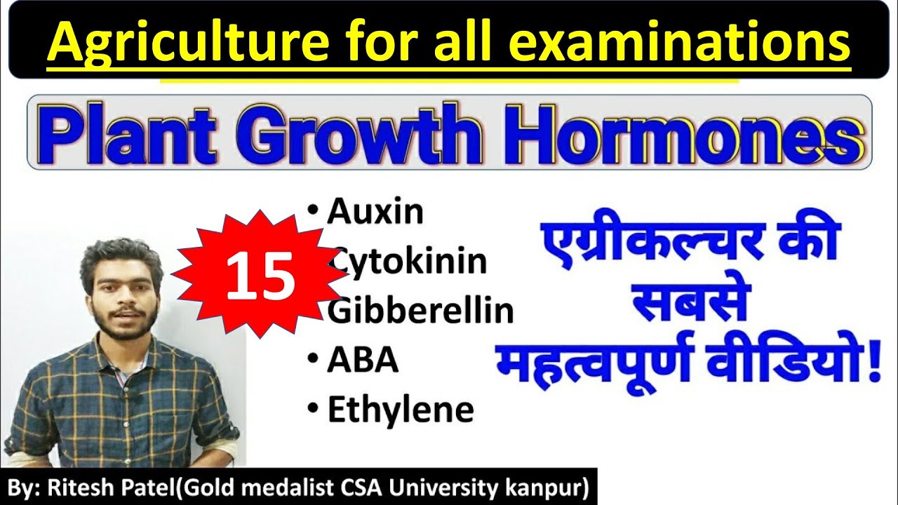 Plant growth hormones|agriculture for afo|plant growth hormones and ...