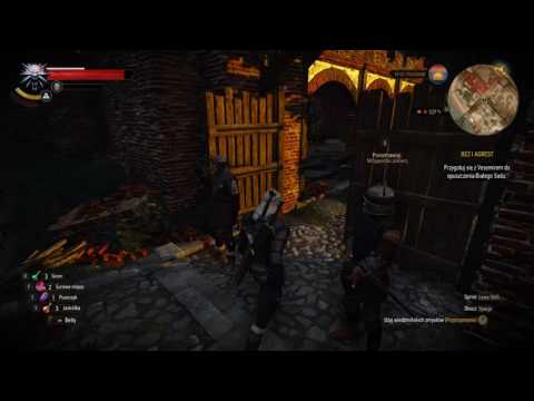 Gate twerk [The Witcher 3]