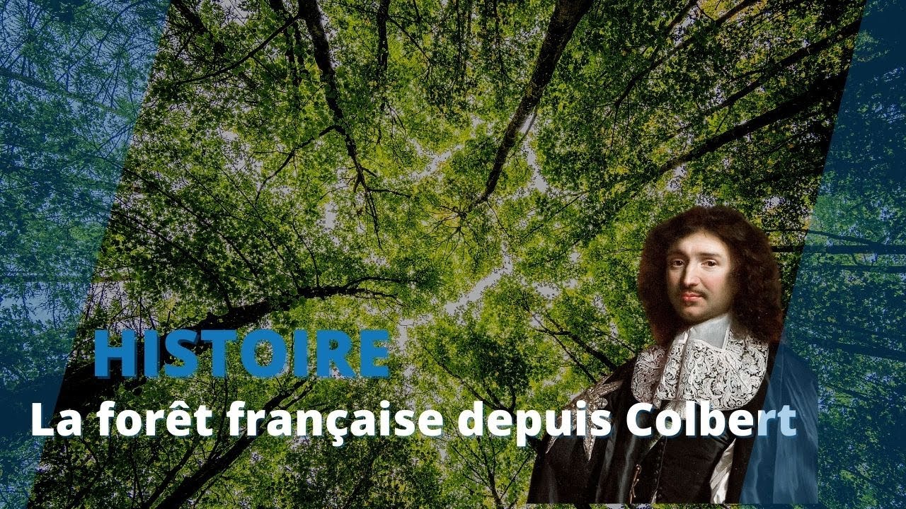 {HGGSP] Résumé : la forêt française depuis Colbert - YouTube
