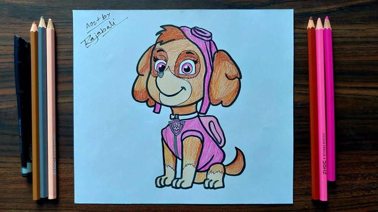 How To Draw Skye From Paw Patrol|Drawing for Beginners - YouTube