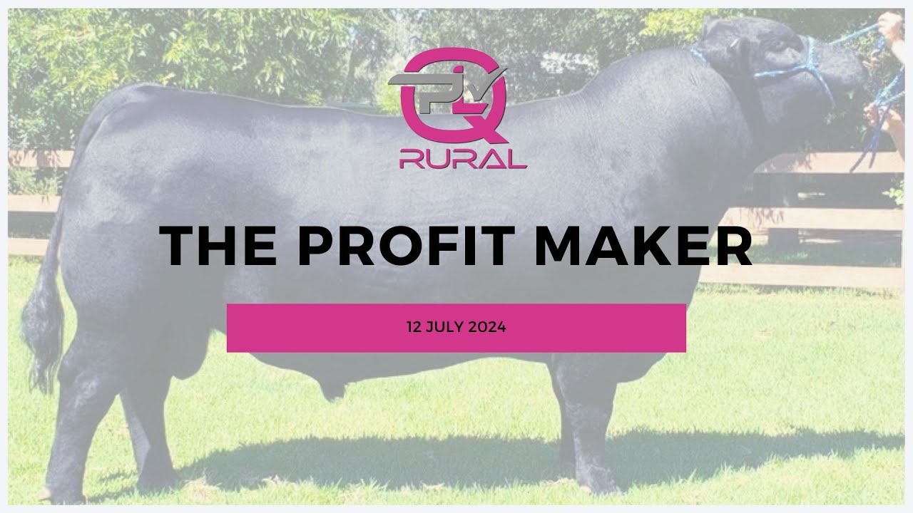 Profit Maker 12/7/2024 - YouTube