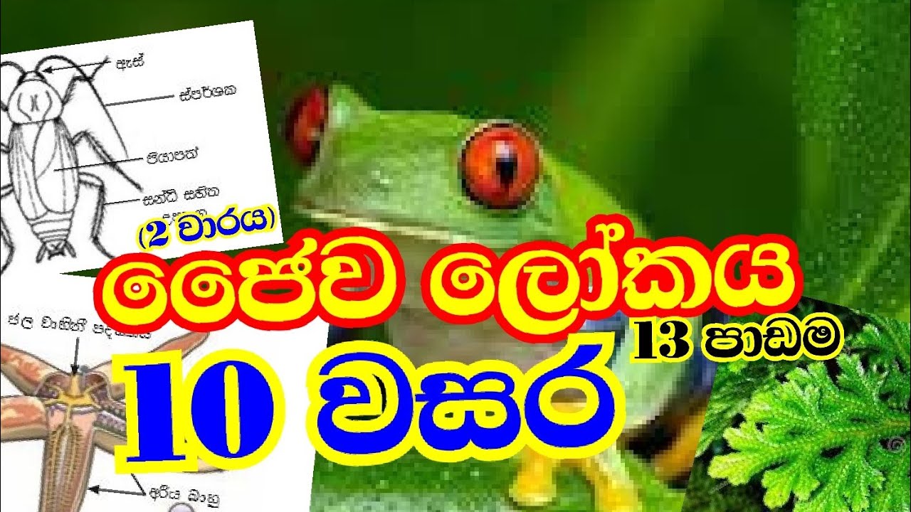 Grade 10 Science 10 YouTube grade-10-science-10-youtube