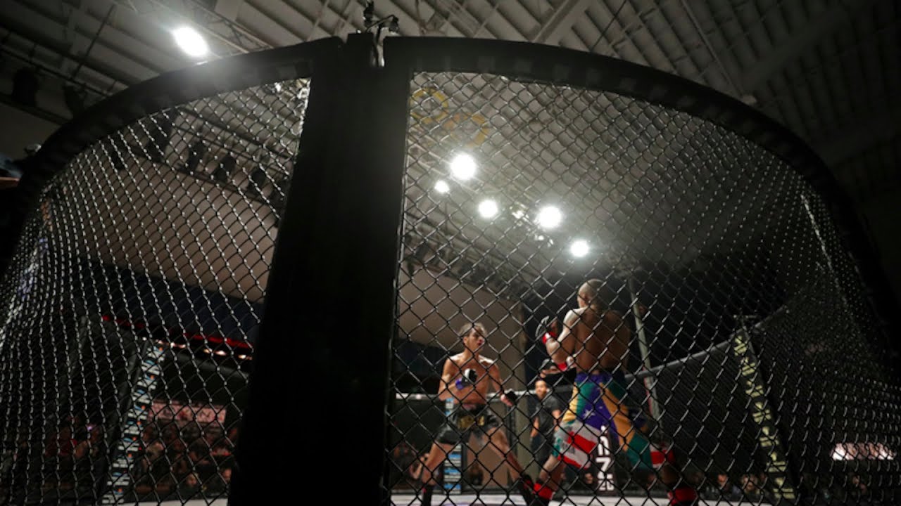 What's it like inside the cage? - YouTube