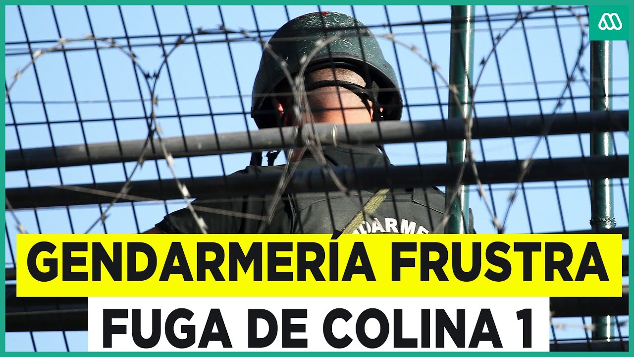 Con disparos de advertencia: Gendarmería frustra intento de fuga de ...