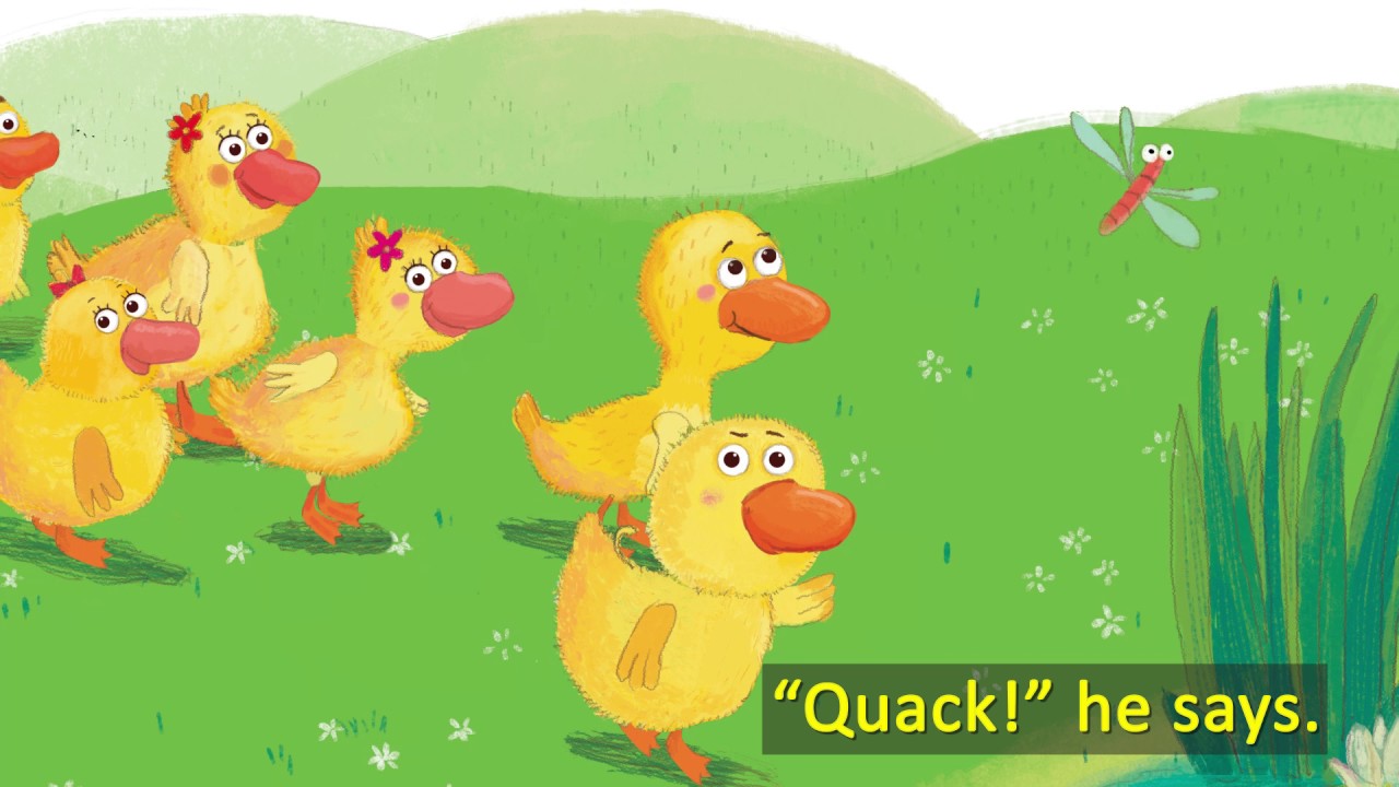 LSR Level 3-6 Six Ducks - YouTube