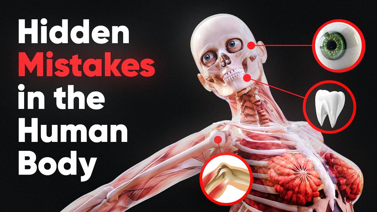 Evolution and the Hidden Mistakes in Your Body - YouTube