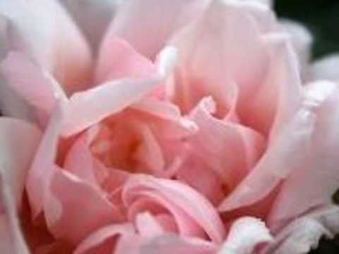 παραγγελια βασιλης τερλεγκας - YouTube