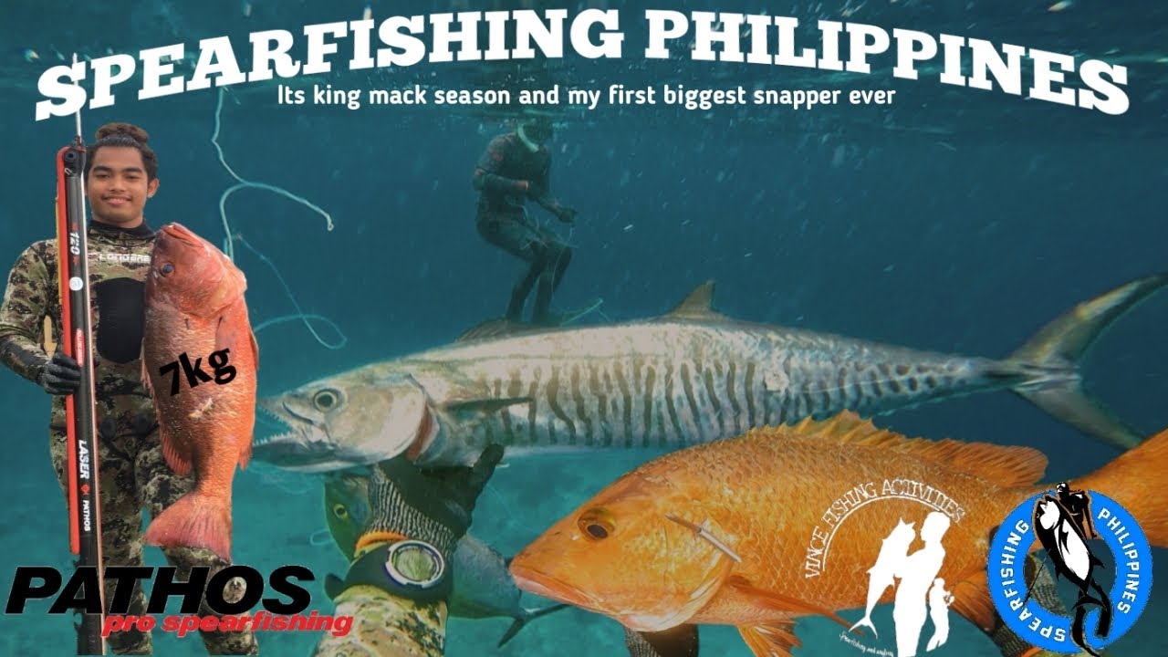 MY BIGGEST MANGROVE SNAPPER//😱(Spearfishing Philippines Gov Gen, Davao ...