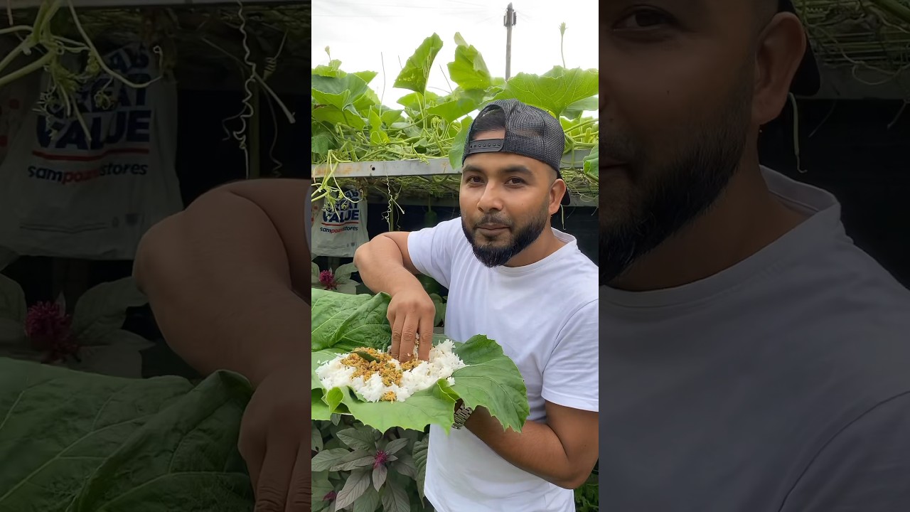 Khodu Seeds Chutney #kabulpb #khoduseeds #cooking #eating #food # ...