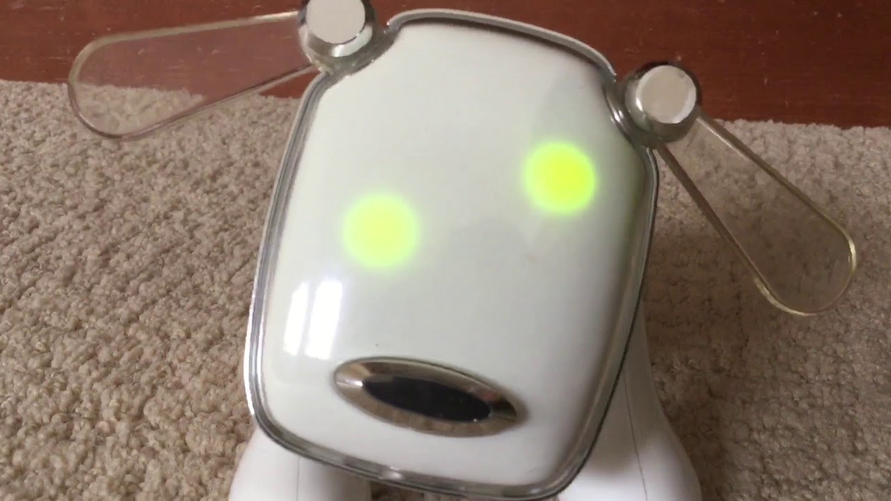 2005 Idog - Ecstatic - Dance - YouTube
