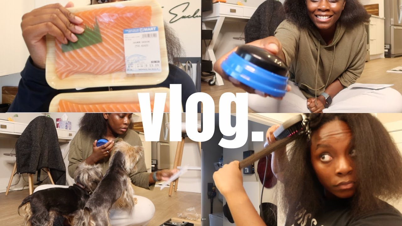 VLOG - Yorkie Talking Buttons Training, H-Mart Haul - YouTube