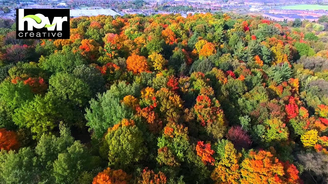 Aerial Video - Sheppard's Bush, Aurora, Ontario - October 2015 - York ...