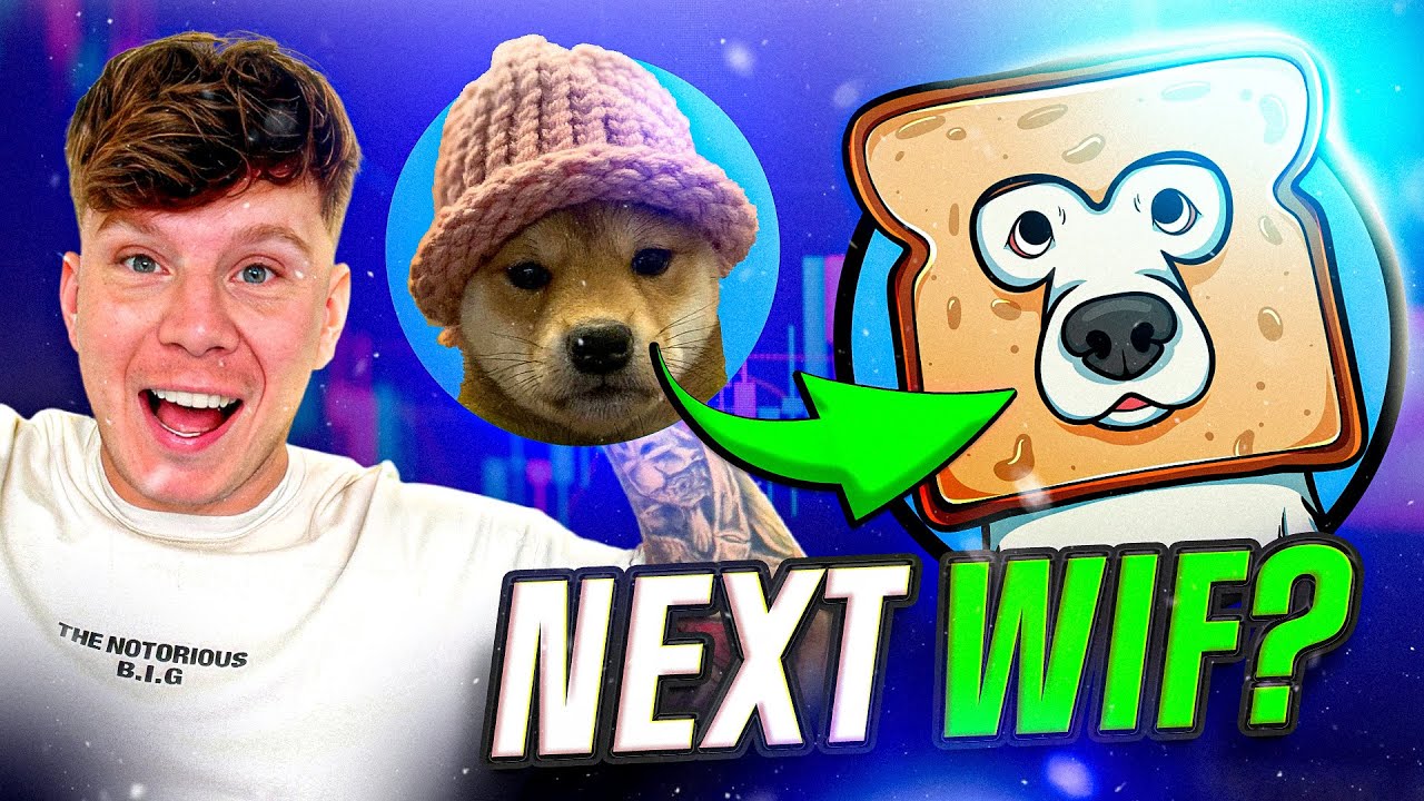 WHISKER WONDERS! 🔥 Boggy 🔥 THE MEME THAT'S PULLING AT YOUR HEARTSTRINGS ...