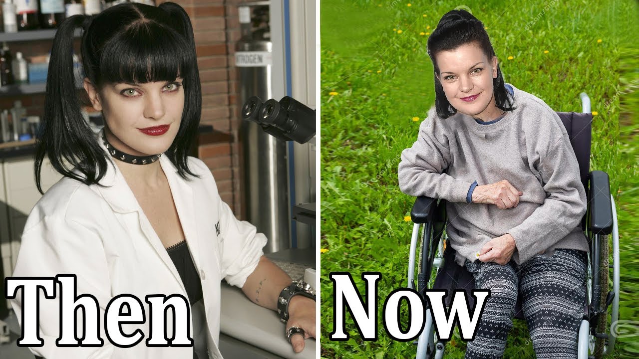 NCIS 2003 Cast THEN AND NOW 2022 How They Changed, Thanks For The ...