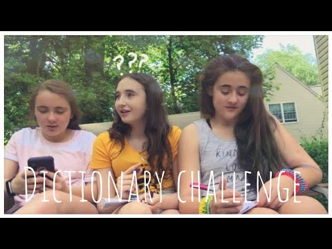 Dictonary~challenge | with • Rizzy and Mizzy