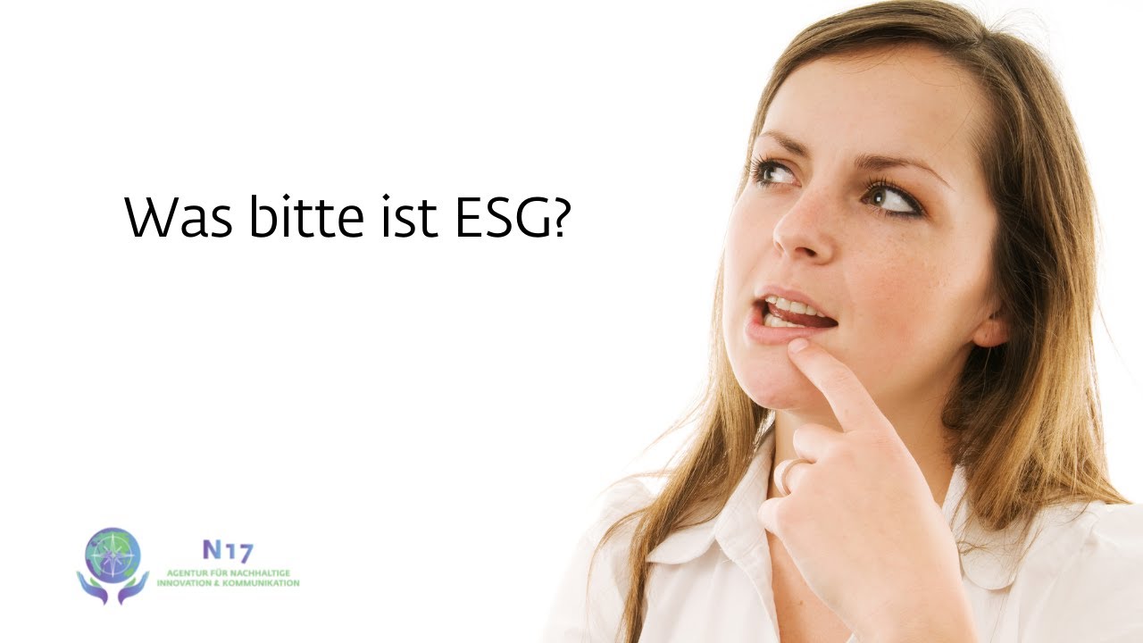 Was bitte sind ESG-Kriterien oder -Risiken? - YouTube