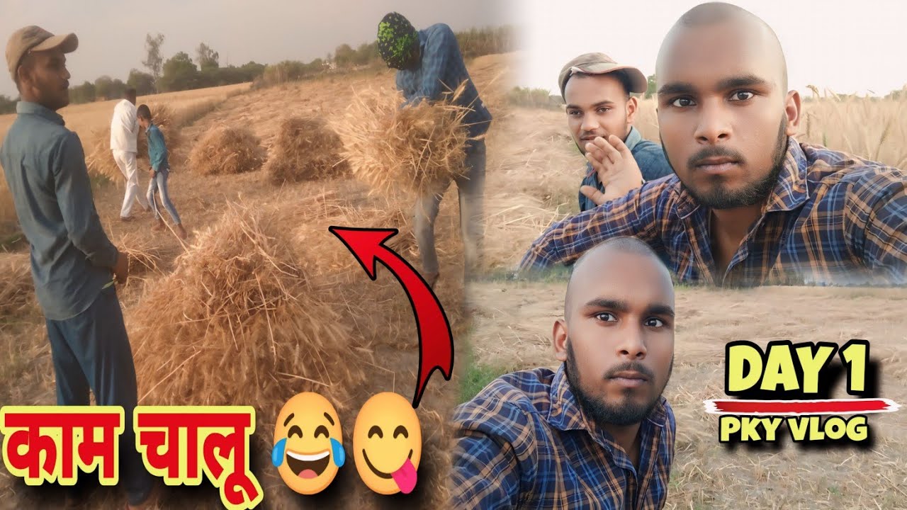 आज से हम लोग की कटाई-बनाई शुरू हो गई दोस्तों ? । Vlog | daily vlog ...